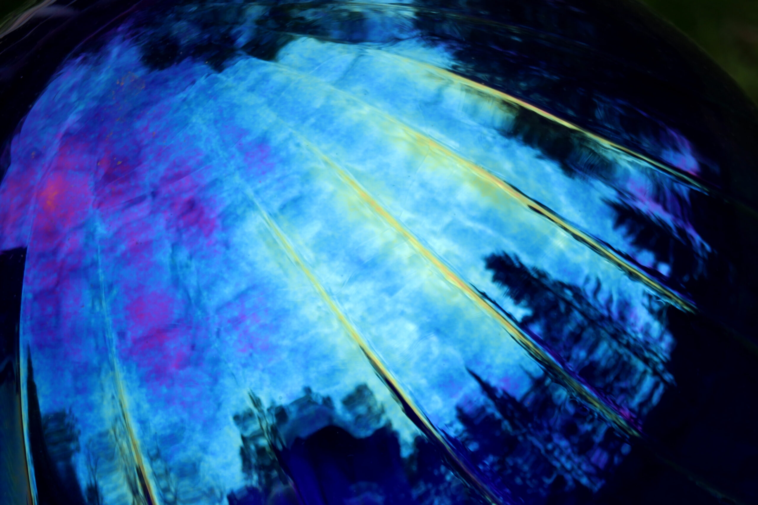 Blue World - PBS Wisconsin Garden & Green Living Expo