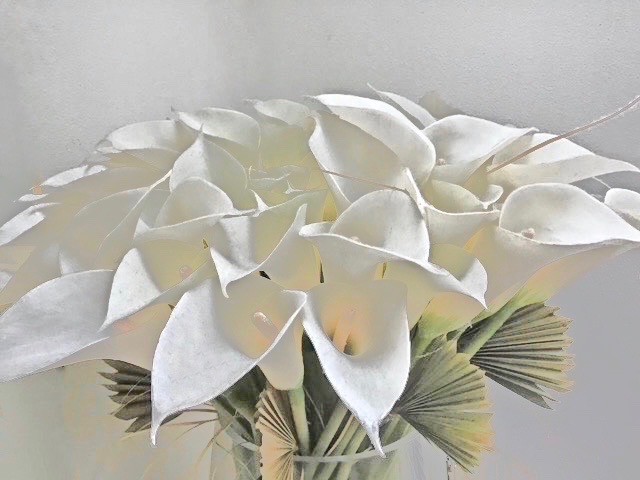 White Trumpets - PBS Wisconsin Garden & Green Living Expo