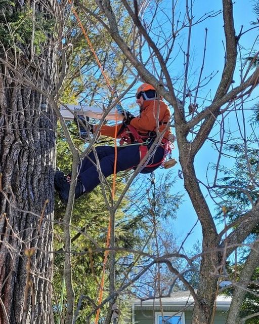 Tree Health Management LLC - PBS Wisconsin Garden & Green Living Expo