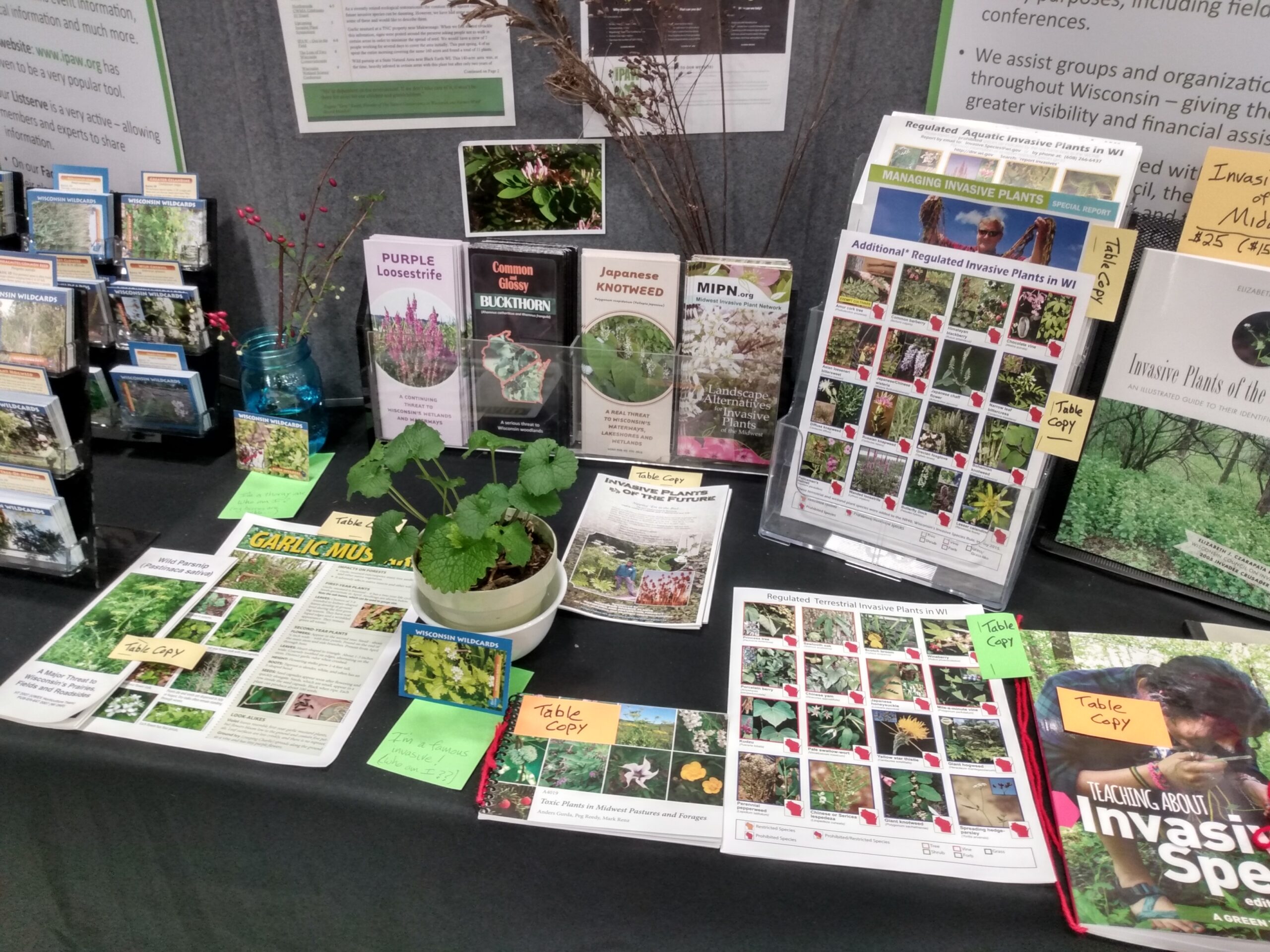 Invasive Plants Association of Wisconsin (IPAW) - Wisconsin Garden and ...